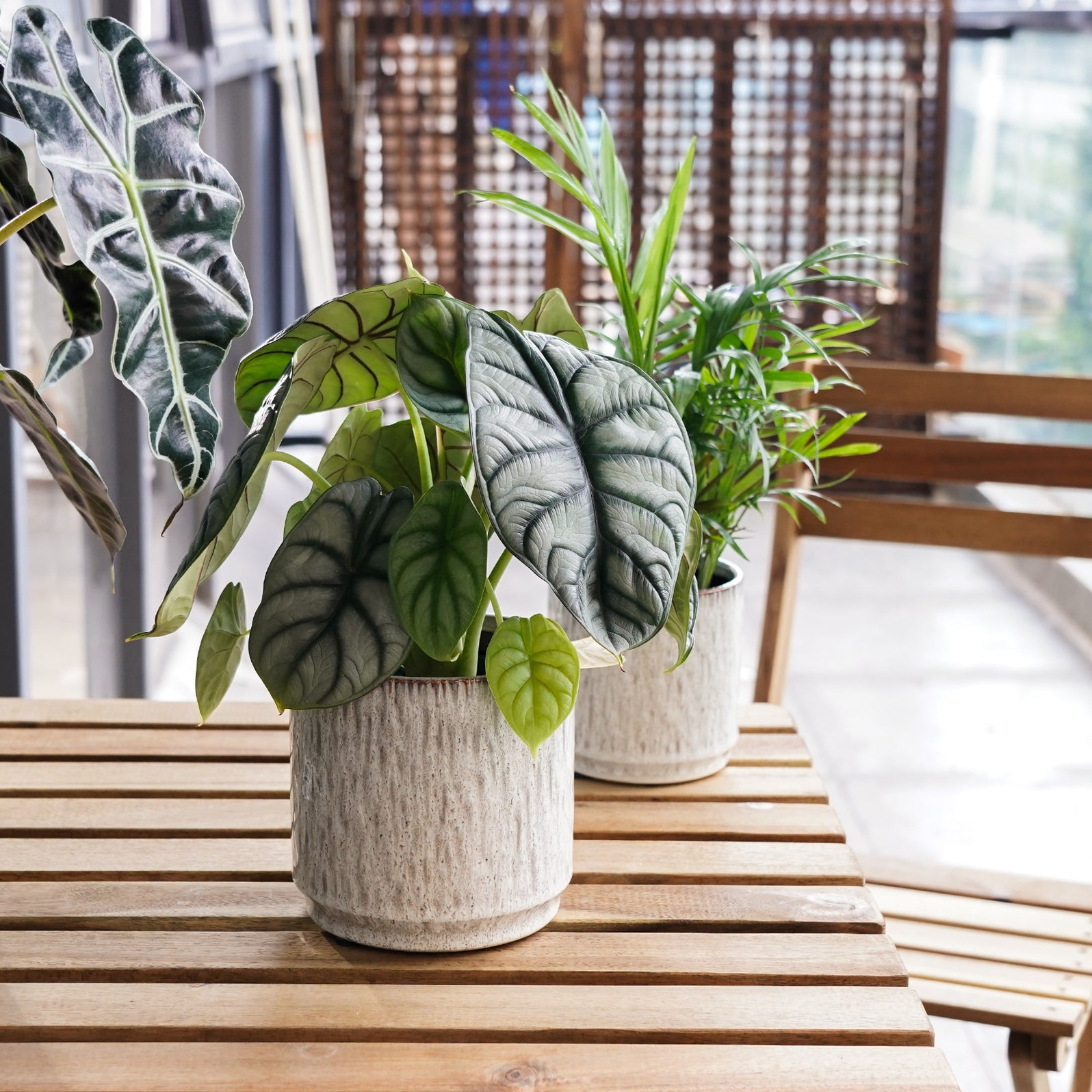 JOFAMY Ceramic Flower Pots Indoor, 2 Pack Modern Country Planter with ...